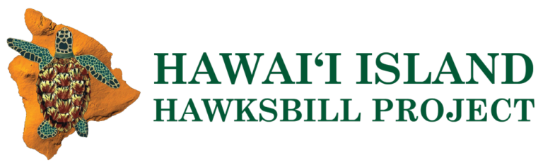 Honuʻea of Hawaiʻi - Hawaii Island Hawksbill Project